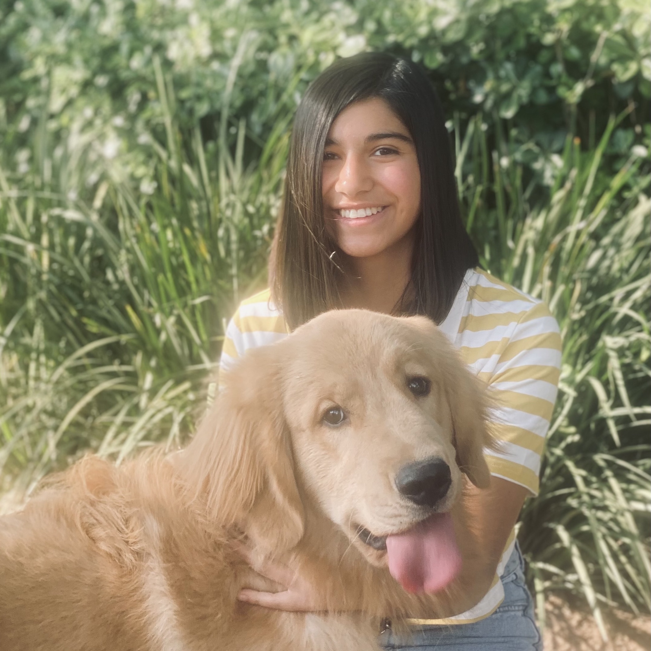 Allison Hazel Lievano - Under The Volcano