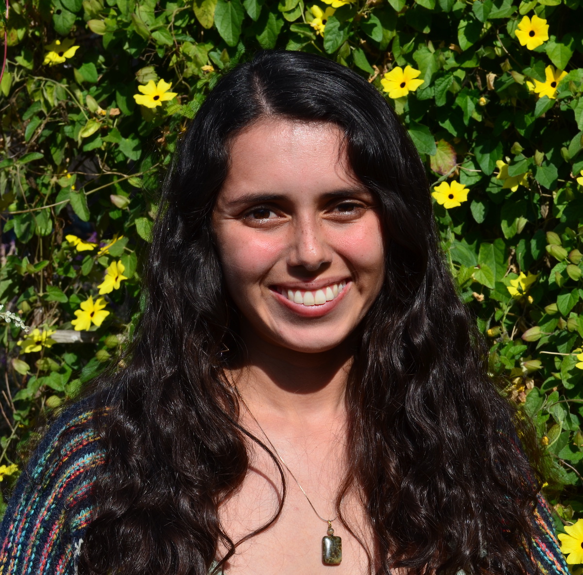 Izabela García Arce Under The Volcano