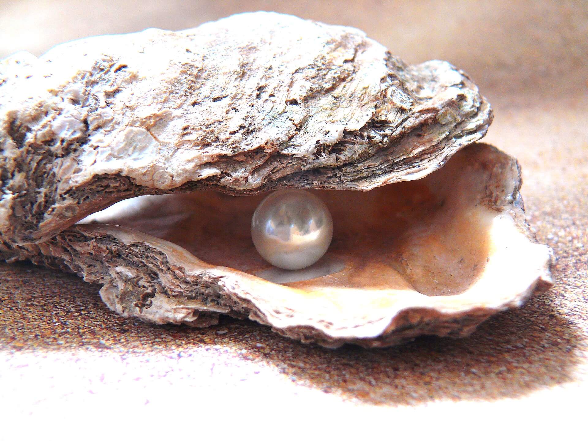 Journalist Diego Courchay on Time and the Creative Process - Under The ...